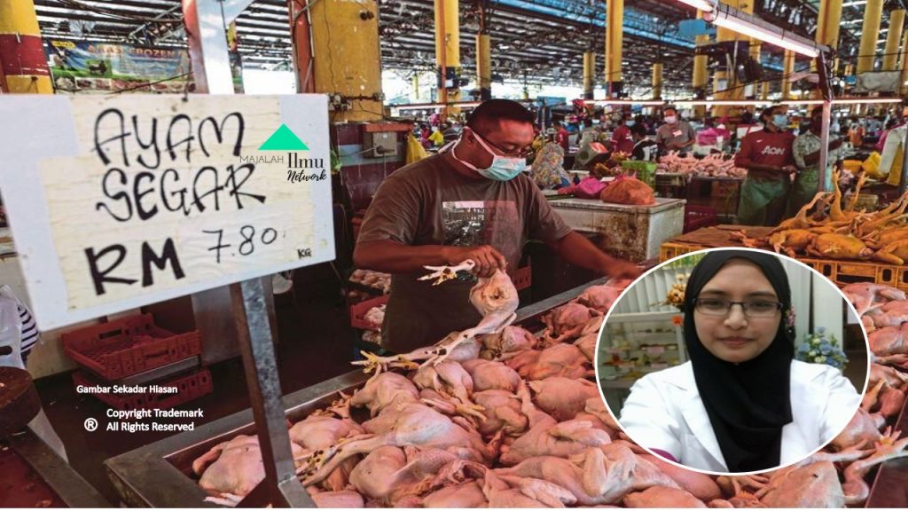 Mahu Untuk Memastikan Ayam Adakah Benar-Benar Segar Dan Baru, Selidik ...