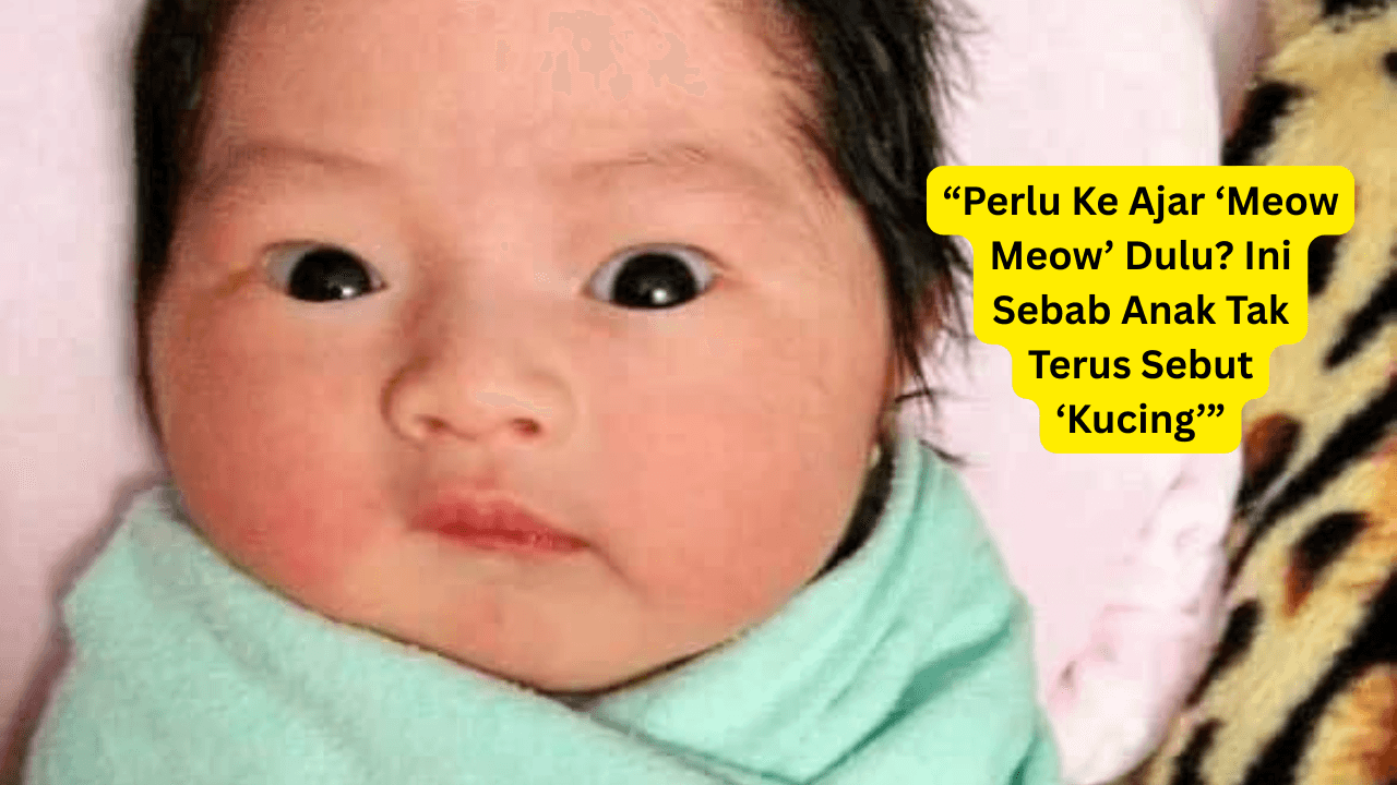 Cara Merangsang Percakapan Bayi Sejak Lahir: Panduan Lengkap Mengikut ...